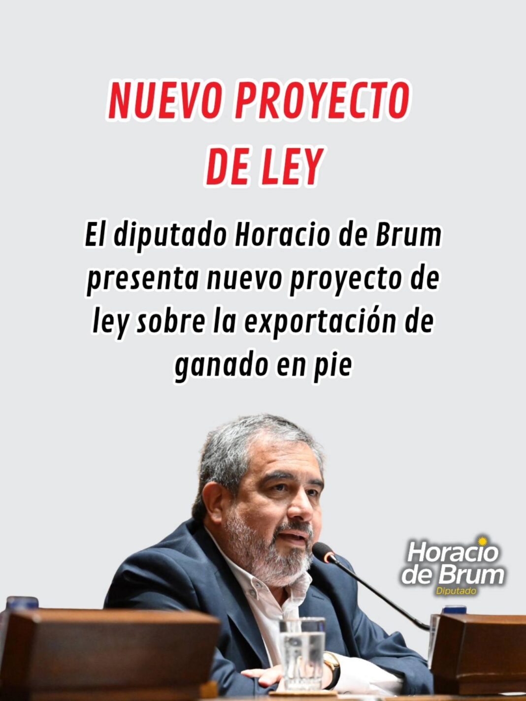 HORACIO DE BRUM 𝙉𝙐𝙀𝙑𝙊 𝙋𝙍𝙊𝙔𝙀𝘾𝙏𝙊 𝘿𝙀 𝙇𝙀𝙔 𝙎𝙊𝘽𝙍𝙀 𝙀𝙓𝙋𝙊𝙍𝙏𝘼𝘾𝙄Ó𝙉 𝘿𝙀 𝙂𝘼𝙉𝘼𝘿𝙊 𝙀𝙉 ...