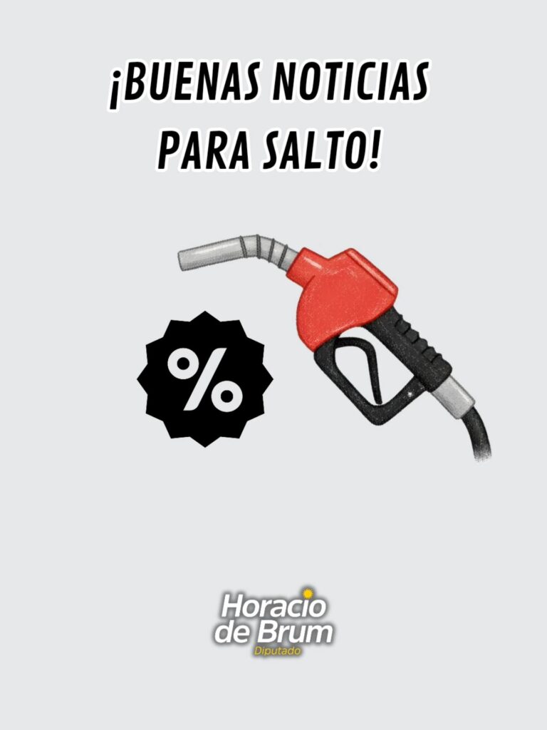 DIPUTADO HORACIO DE BRUM: Reducción de IMESI a los combustibles en la ...